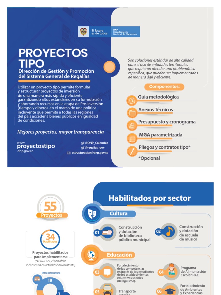 Infografia Proyectos Tipo | PDF | Economias