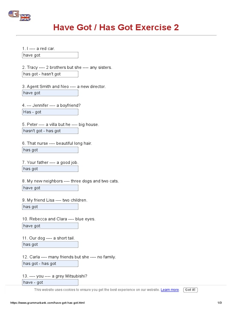 Have Got - Has Got Exercise | PDF