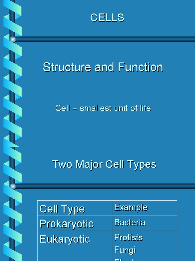 Cells F05 | PDF | Cell (Biology) | Endoplasmic Reticulum