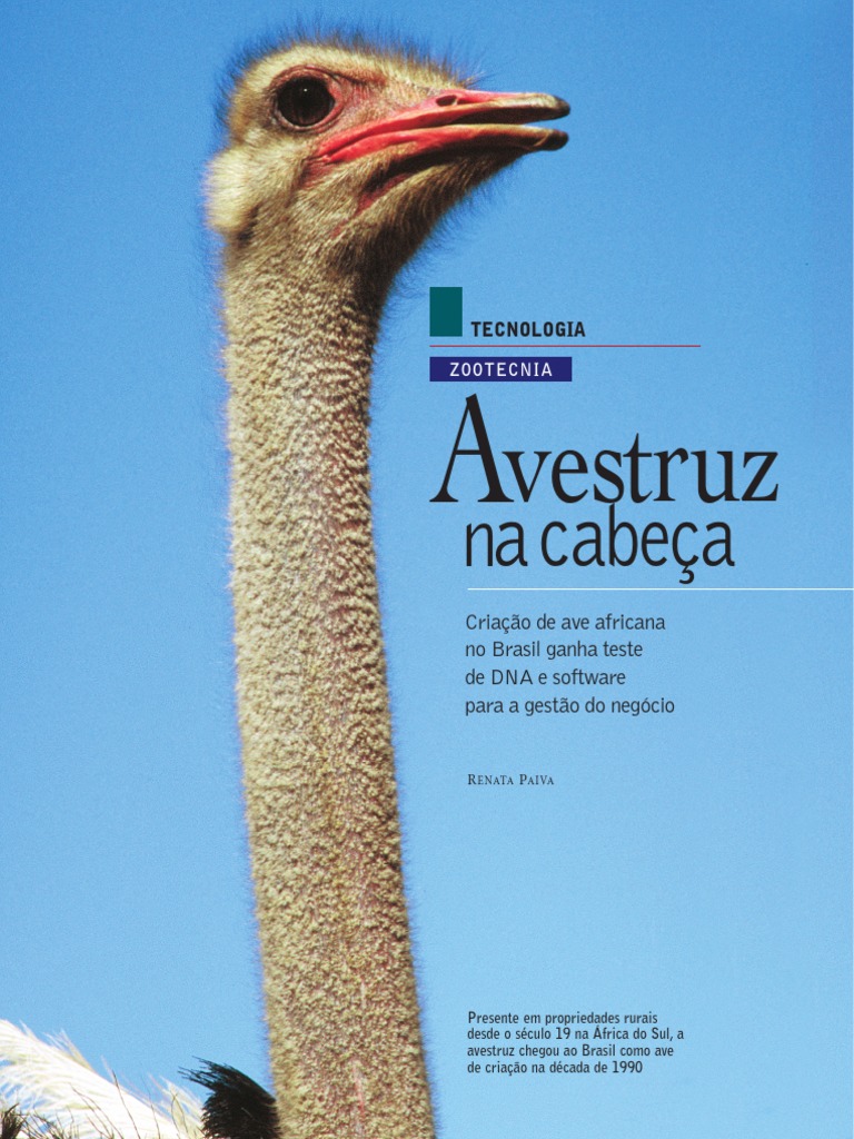 64a69 103 Pesquisa Avestruz | PDF | Aves | Sexo