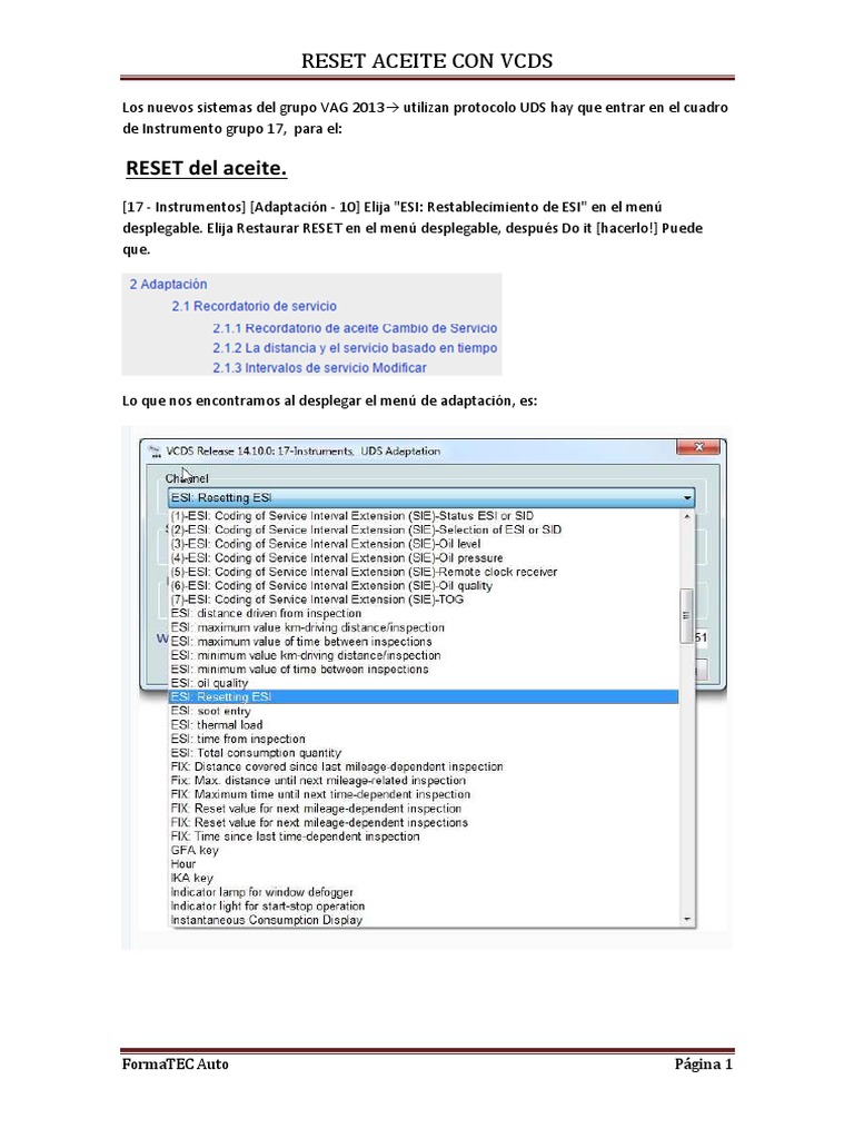 Reset Aceite Uds Grupo Vag Con Vcds | PDF
