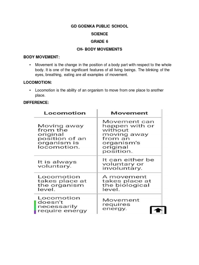 CH - Body Movements Grade 6 | PDF | Skeleton | Bone