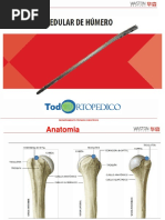 Técnica Quirúrgica Placa Philos: Conceptos | PDF | Tornillo | Metalurgia