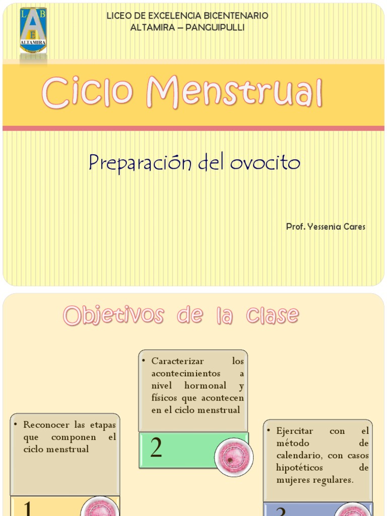 8º PPT Guia 2 Ciclo Menstrual | PDF | Ciclo menstrual | Menstruación