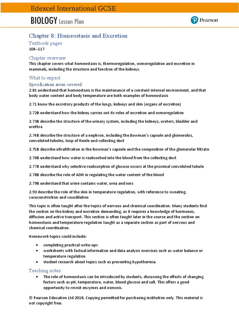 IGCSE - Bio - Lesson Plan 8 - Homeostasis and Excretion | PDF | Kidney ...
