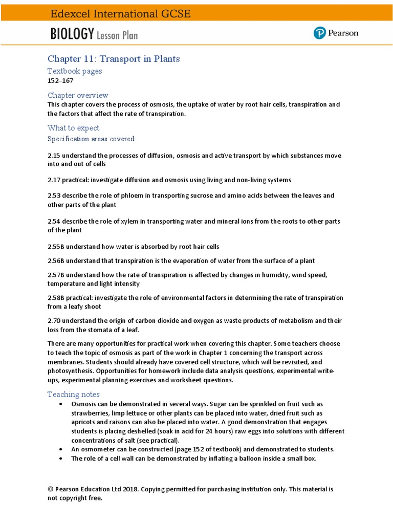 IGCSE - Bio - Lesson Plan 11 - Transport in Plants | PDF | Leaf | Branches Of Botany