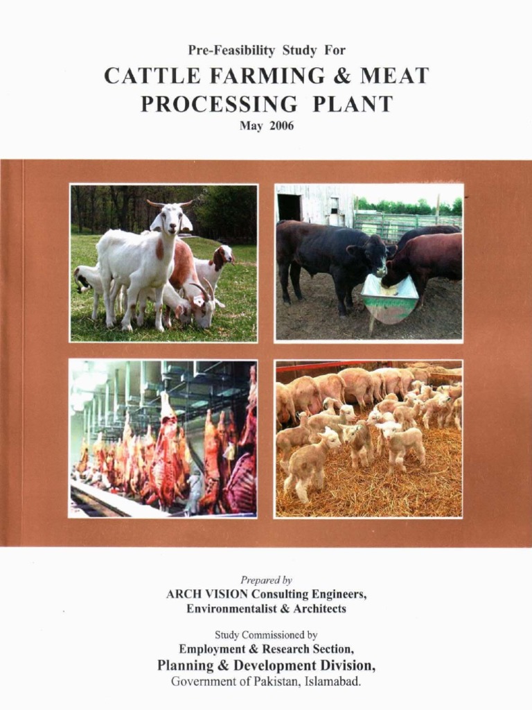 Cattle Farming Meat Processing Plant | PDF | Beef | Cattle
