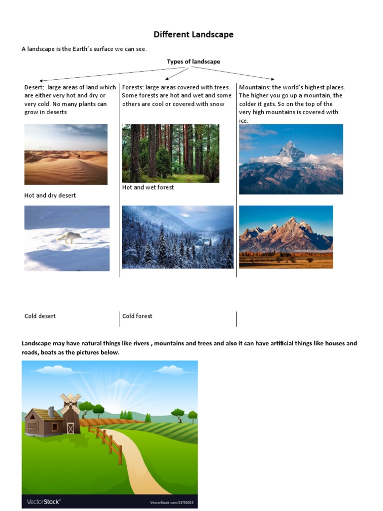 Different Landscape | PDF