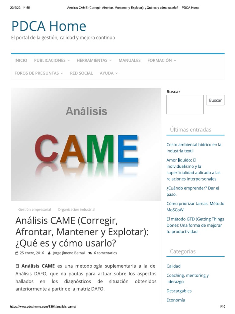 Analisis CAME Que Es y Como Usarlo | PDF