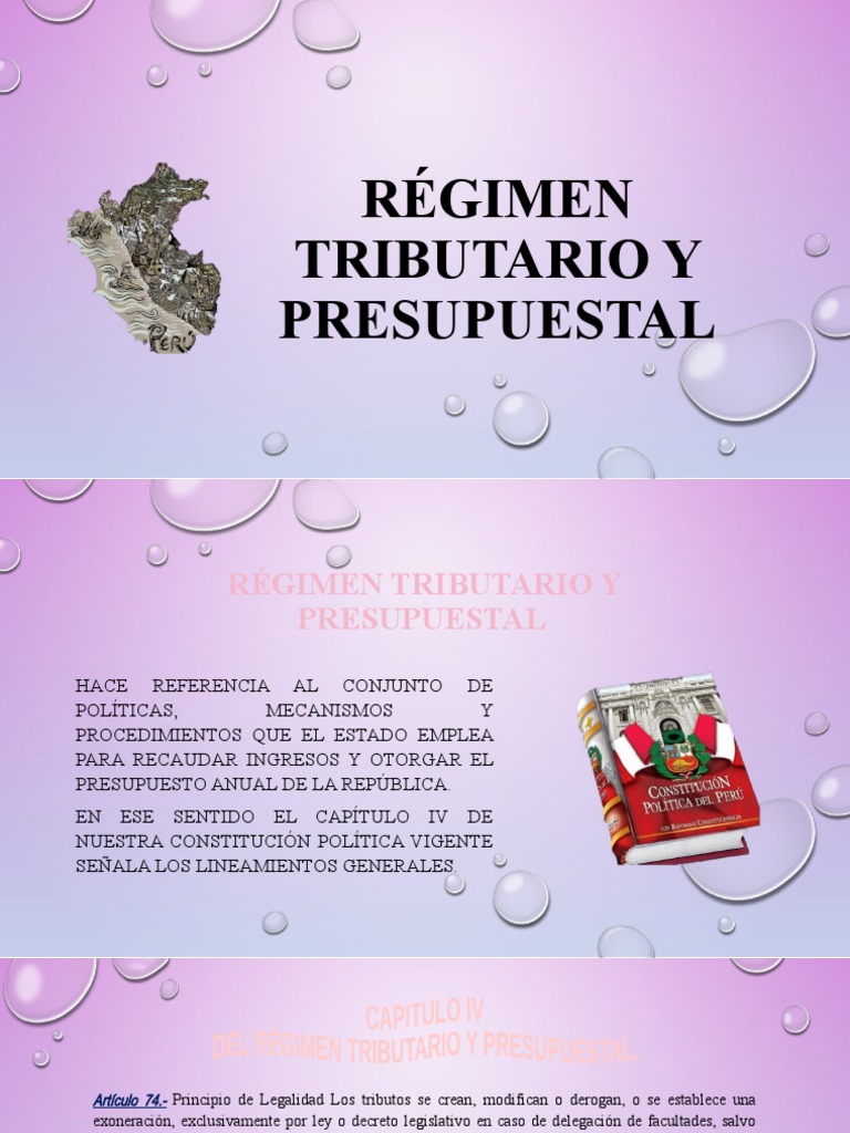 2 Regimen Tributario 5to | PDF | Presupuesto | Presupuesto del gobierno