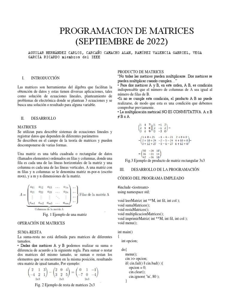 Programacion de Matrices | PDF | Matriz (Matemáticas) | Ecuaciones