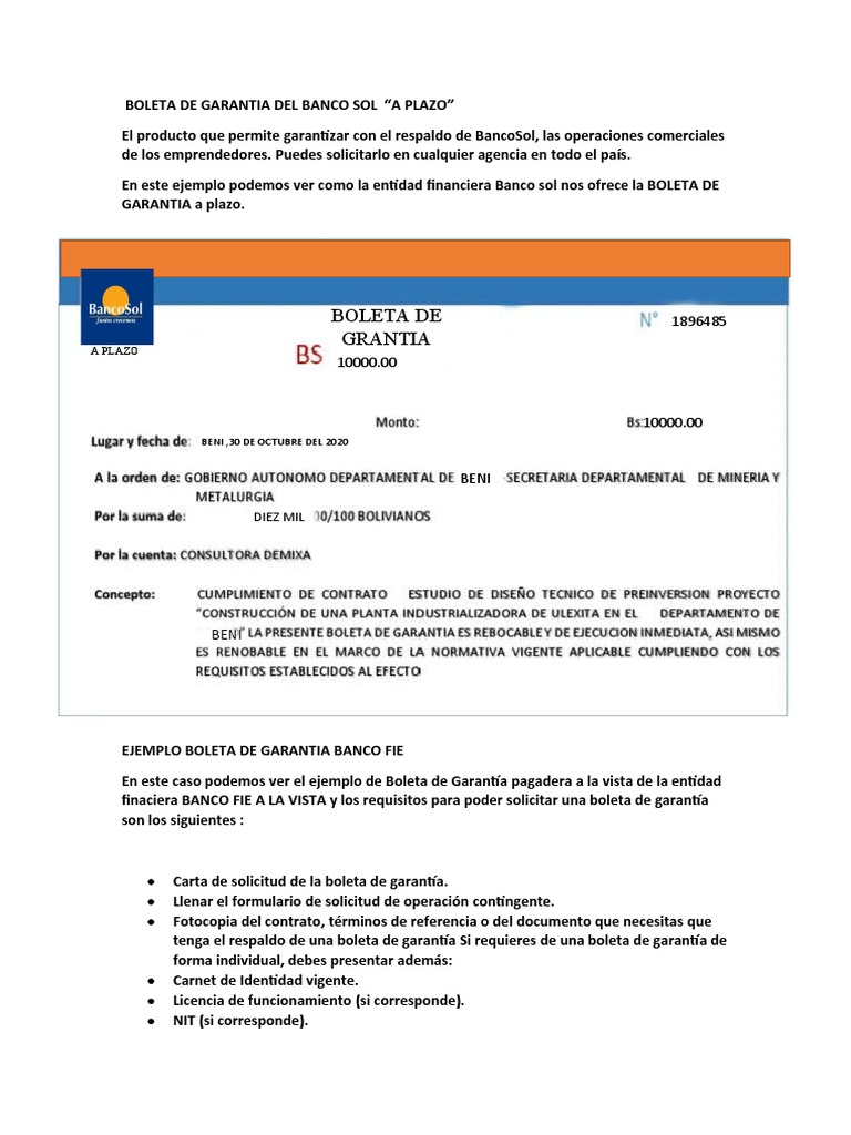 Boleta de Garantia Ejemplos | PDF