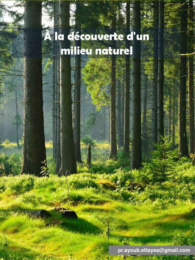 Découverte d'un Milieu Naturel | PDF | Cellule (Biologie) | Sol (pédologie)