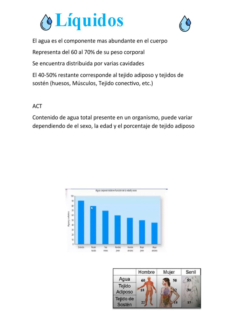 Balance De Liquidos Corporales Pdf Biología Celular Fisiología