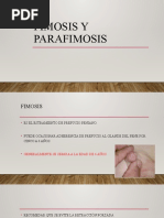 Clasificación de Fimosis Kayaba | PDF | Mamíferos machos | Pene