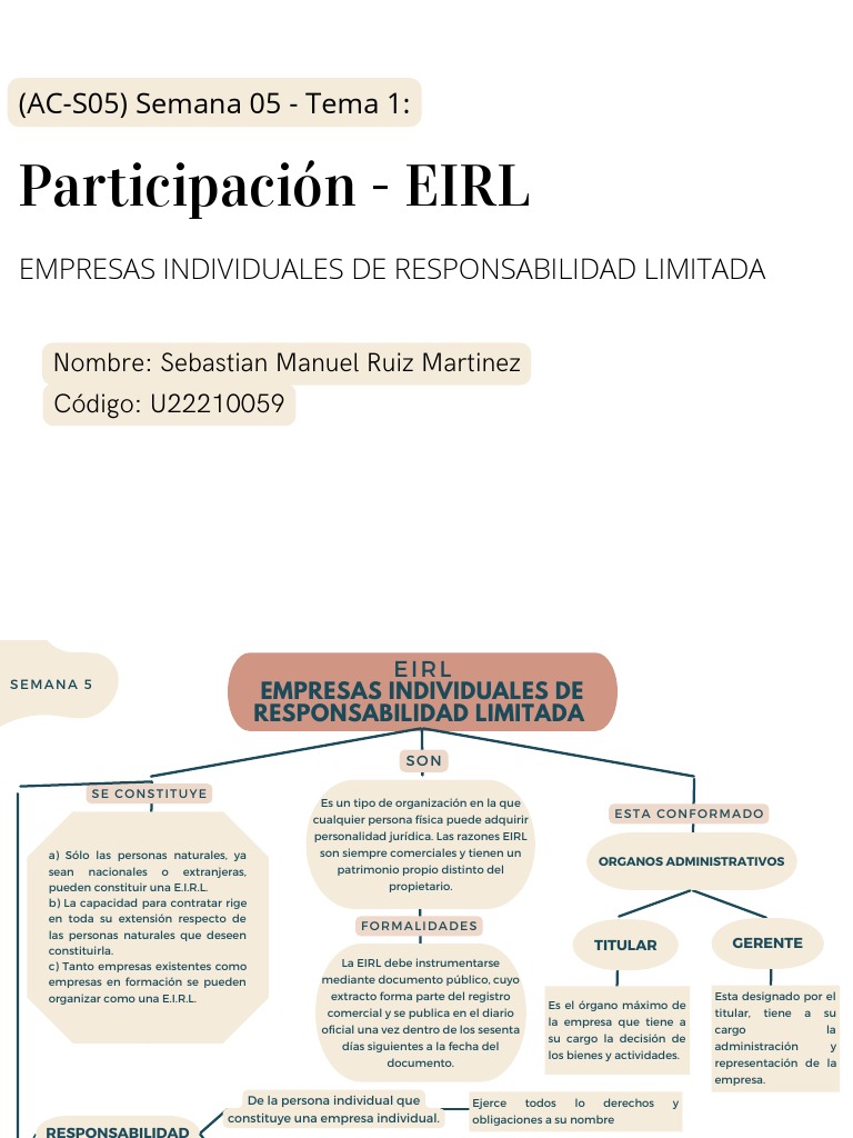 Empresas Individuales de Responsabilidad Limitada | PDF | Bienes (Ley) | Business