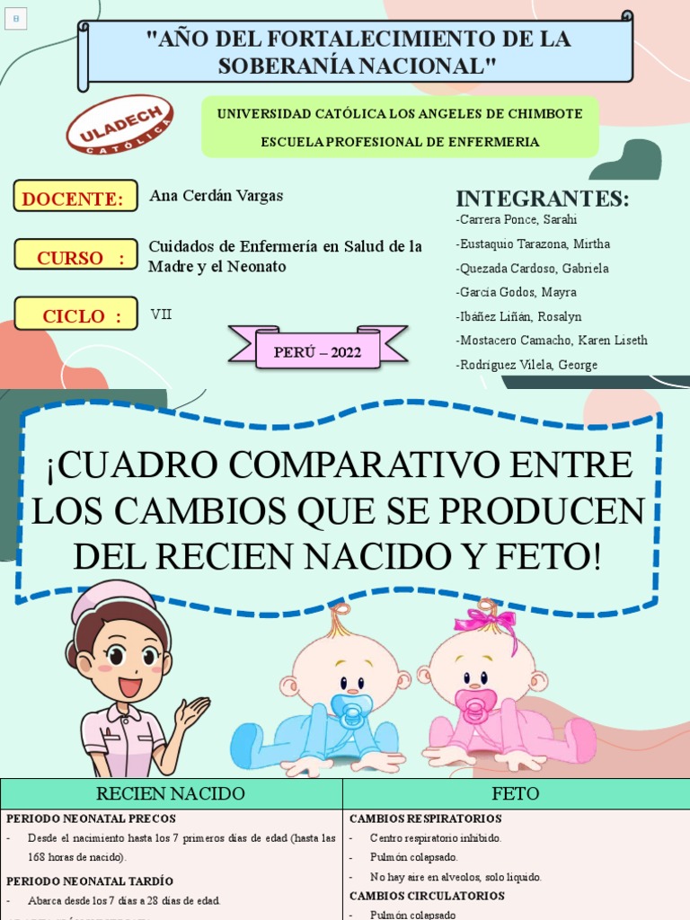 R N-Feto | PDF | Feto | Sistema respiratorio