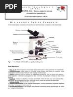 O Microscópio Óptico Composto | PDF | Microscópio | Ótica
