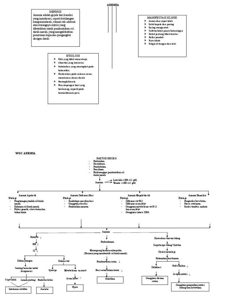 WOC - ANEMIA Indo | PDF
