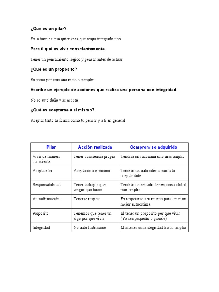 Qué Es Un Pilar | PDF