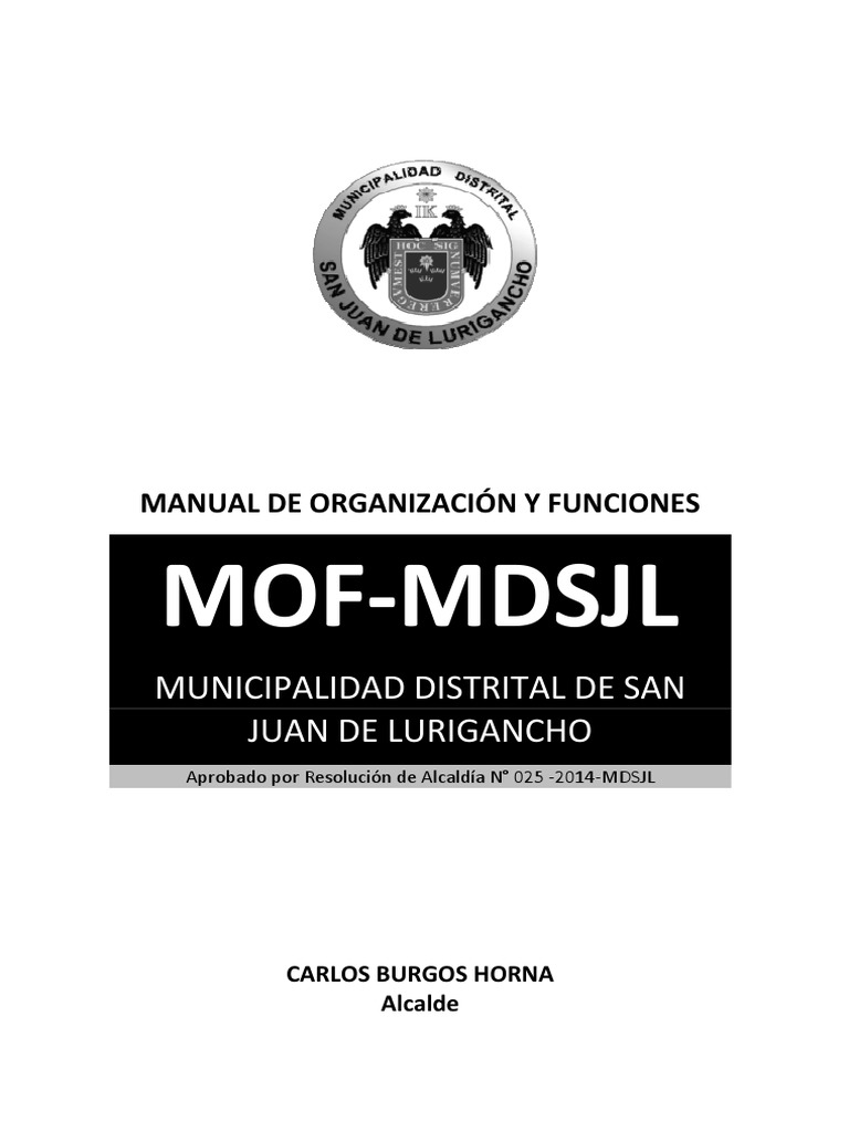 Mof-Mdsjl: Municipalidad Distrital de San Juan de Lurigancho | PDF ...