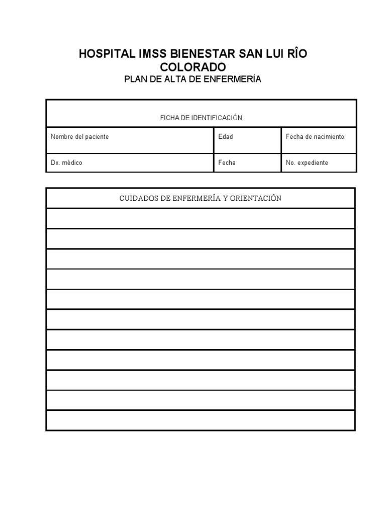 Plan de Alta de Enfermería | PDF