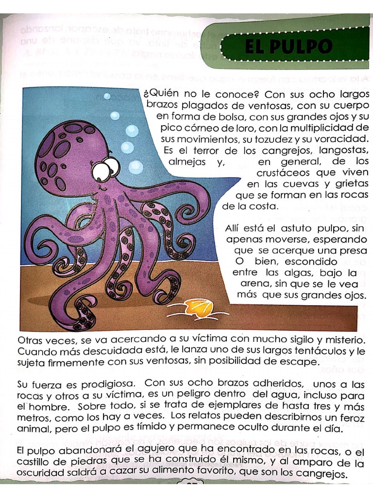 El Pulpo | PDF