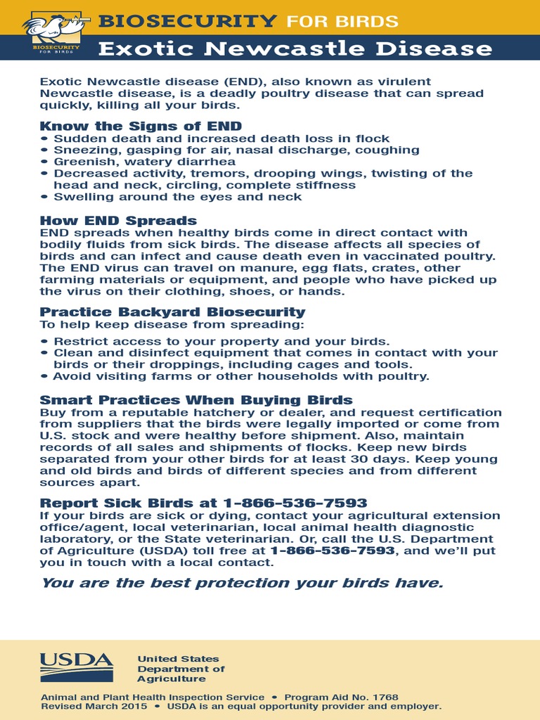 Card End | PDF | Health Sciences | Medical Specialties