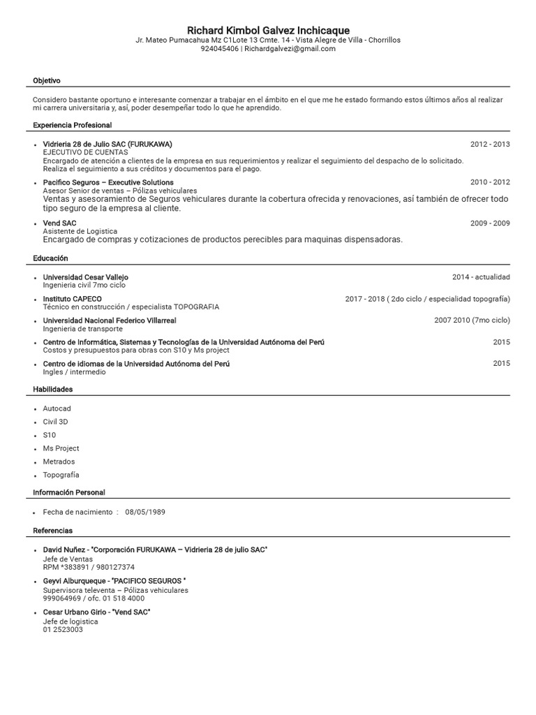 Richard Kimbol Galvez: Perfil Profesional | PDF | Seguro