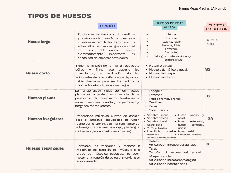 Cuadro Comparativo Tipo de Huesos | Descargar gratis PDF | Hueso ... Cuadro Comparativo Tipo de Huesos | Descargar gratis PDF | Hueso ...