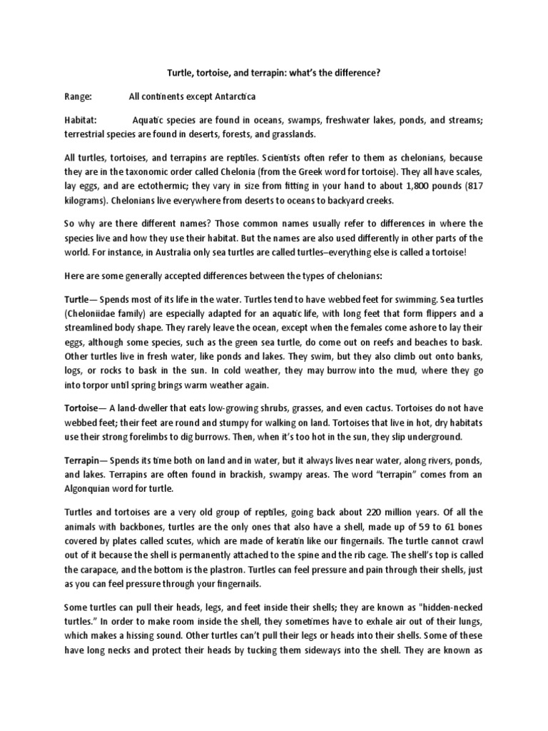 Chelonians Characteristics | PDF | Turtle | Reptile