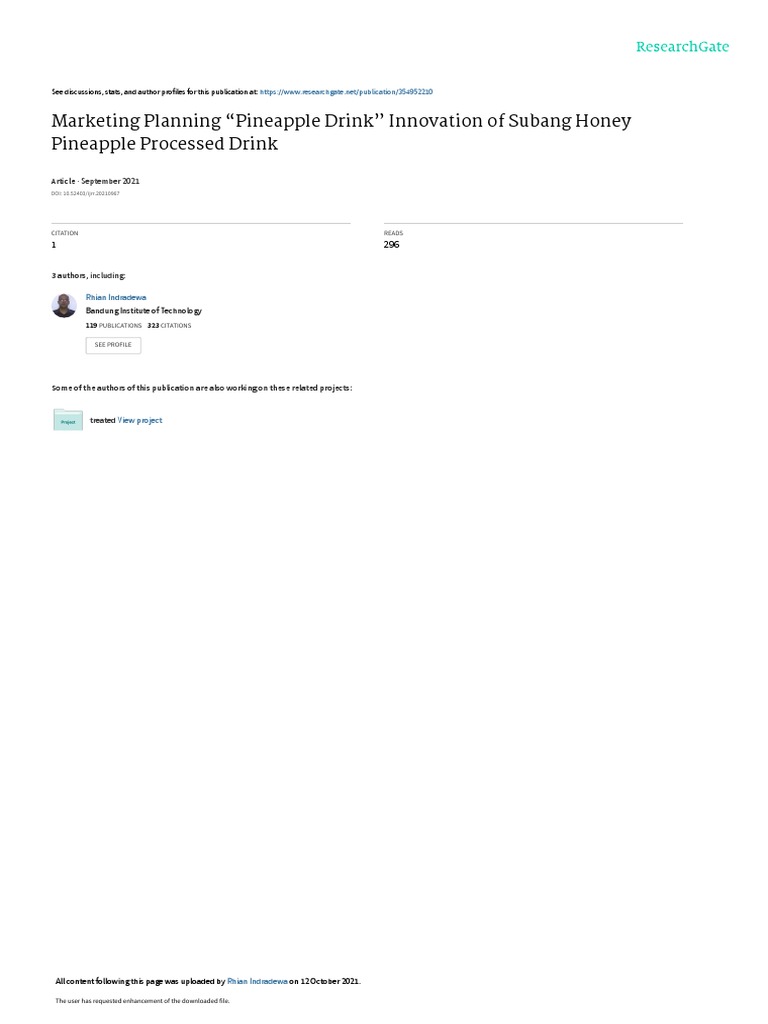 Marketing Planning Pineapple Drink Innovation of S | PDF | Marketing ...