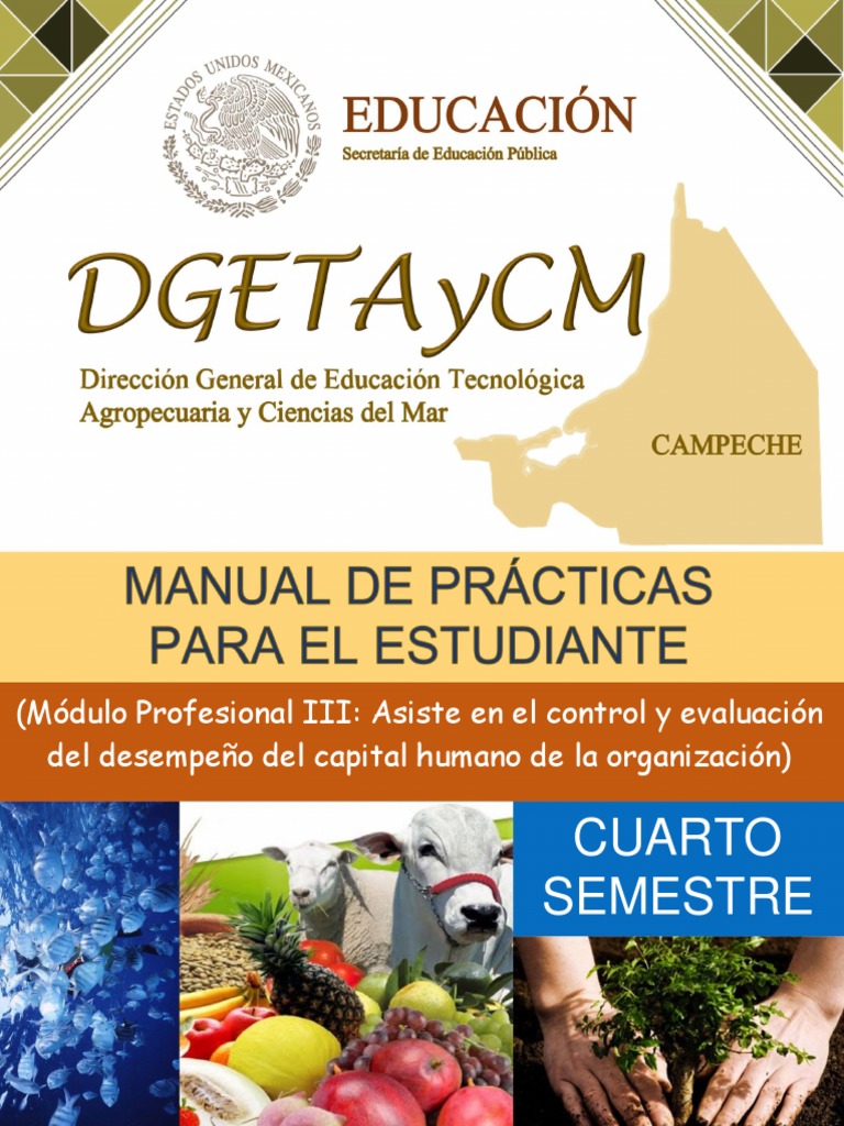 Manual - Practicas - Módulo III - Submódulo 2 | PDF | Presupuesto | Evaluación