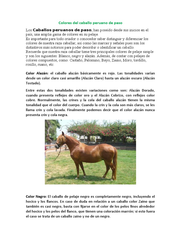 Colores del Caballo Peruano de Paso | PDF | Color | marrón