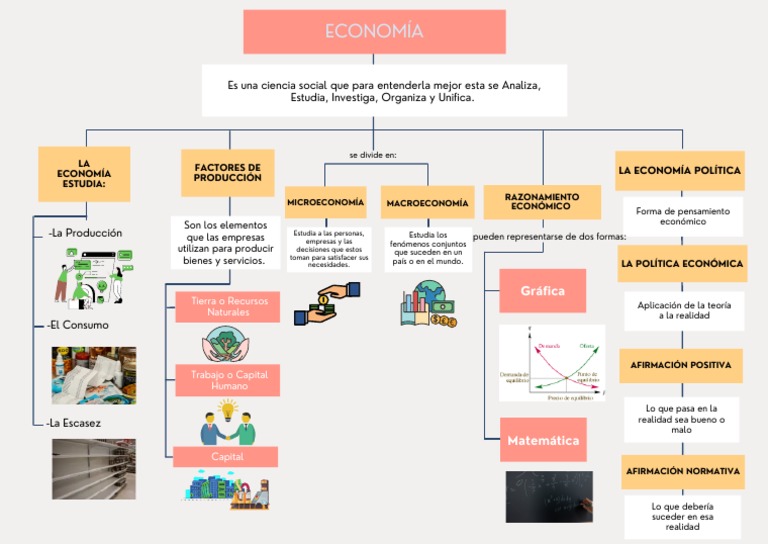 Organizador Visual Economía | PDF | Ciencias económicas | Science