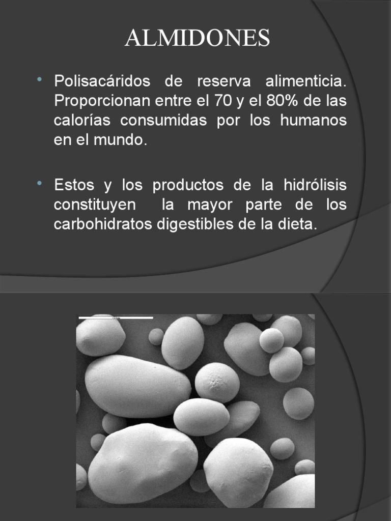 Propiedades y tipos de almidones | PDF | Almidón | Sustancias químicas