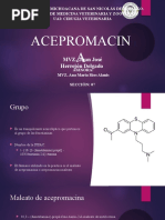 Acepromazina | PDF