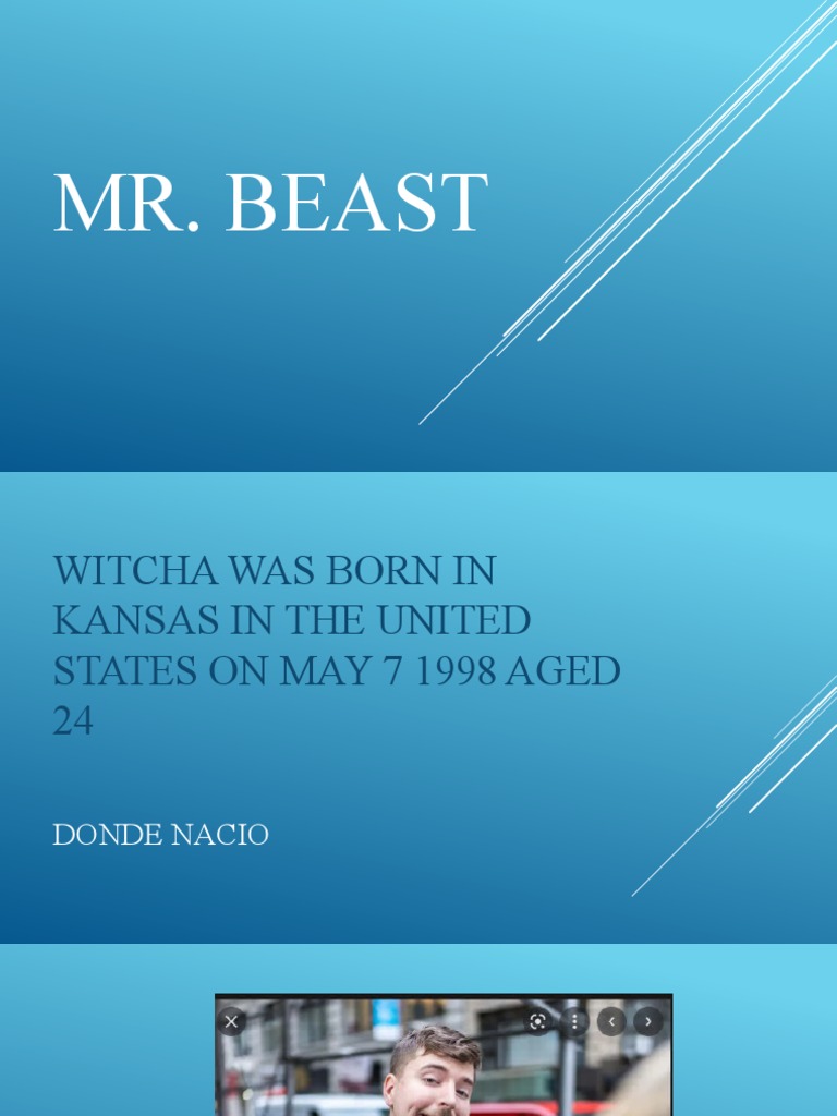 MR BEAST | PDF