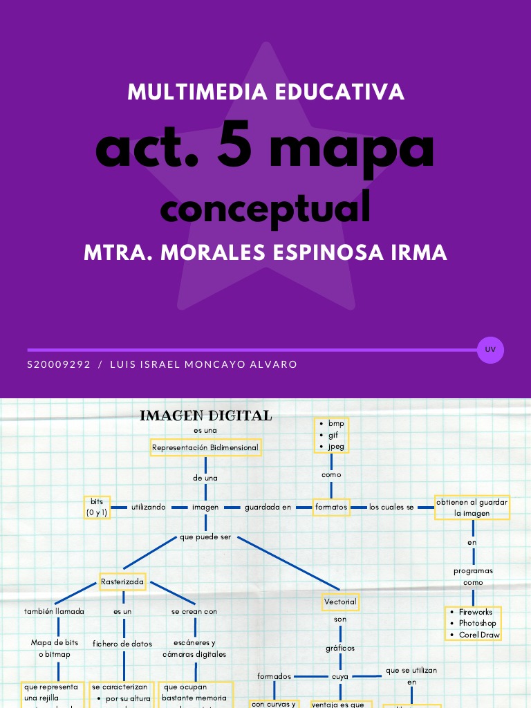 ACTIVIDAD 5 MAPA CONCEPTUAL - Luis Israel Moncayo Alvaro | PDF | Informática | Imagen