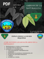 Emblemas Guias Mayores | PDF | Bandera | Los símbolos