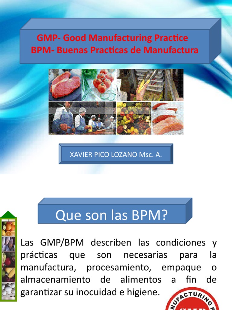 02 GMP - Good Manufacturing Practice | PDF | Alimentos | Agua