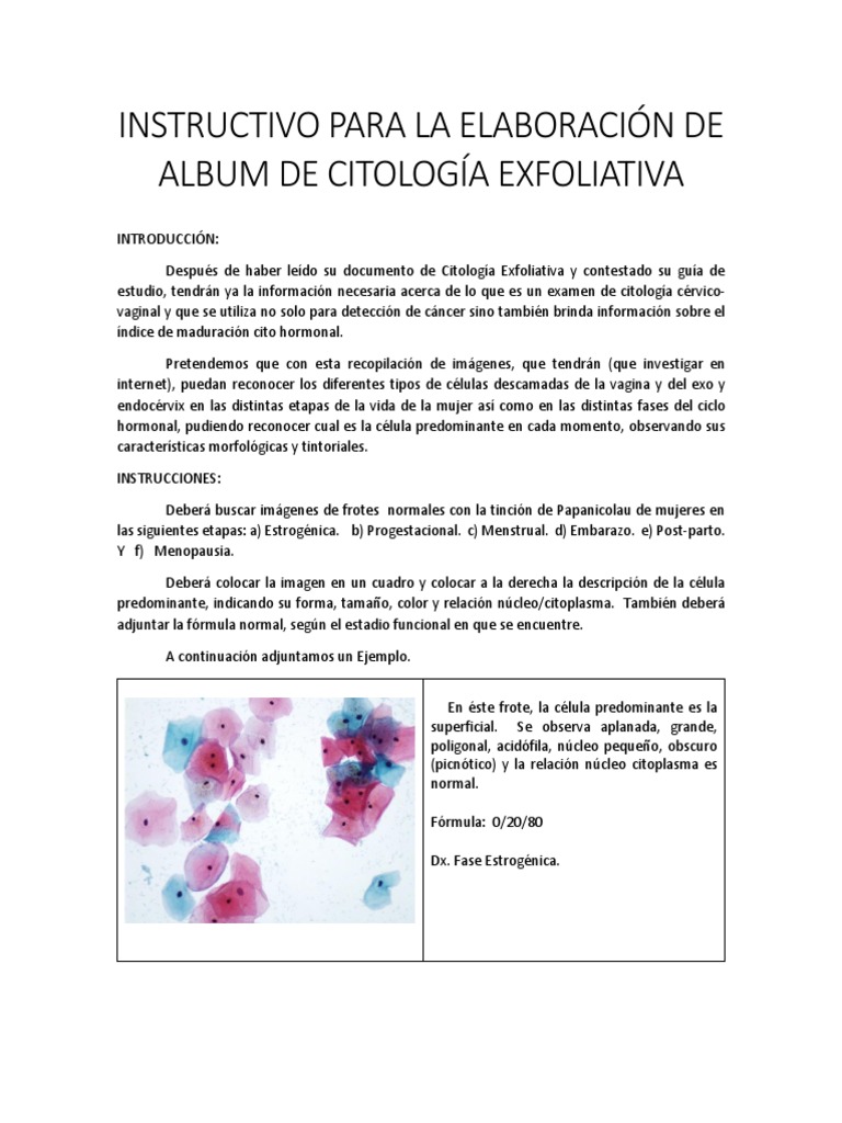 Instructivo para Citología Exfoliativa | PDF