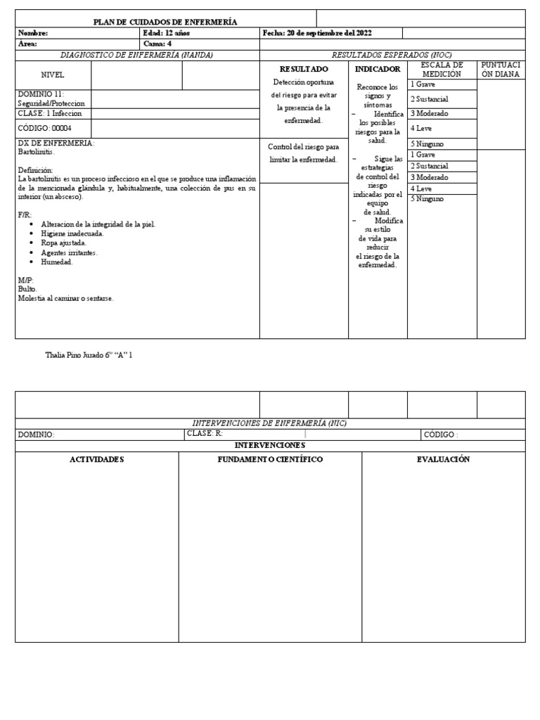 Plan de Cuidados para Bartolinitis Infantil | PDF | Enfermedades y ...