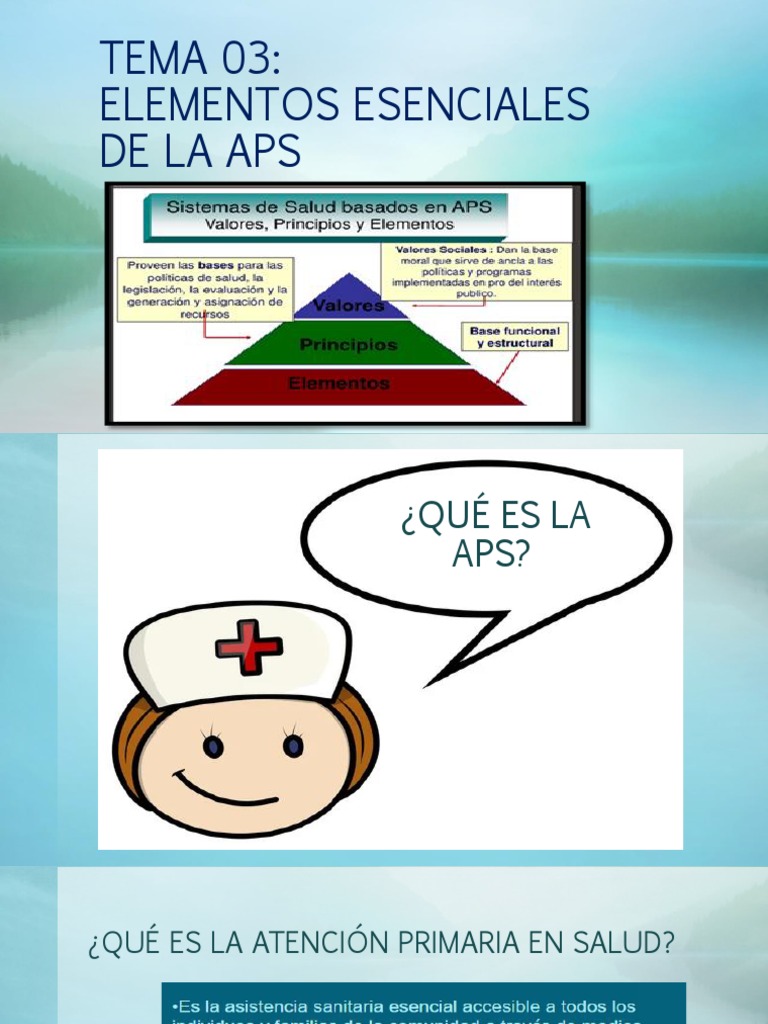TEMA 03 - Elementos Esenciales de La APS | PDF | Cuidado de la salud ...