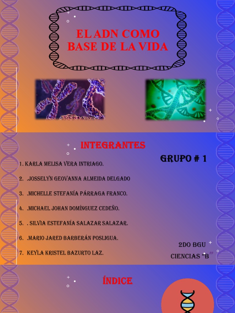 Grupo 1 Biologia 2do B | PDF | Adn | Genoma