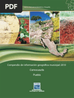 Regiones Económicas de Chiapas | PDF | Chiapas | Mesoamérica