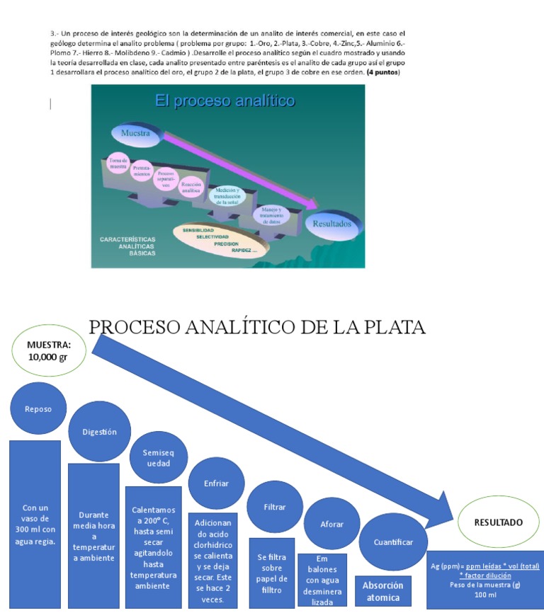 Proceso Analitico de La Plata | PDF