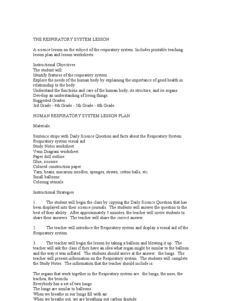 The Respiratory System Lesson | PDF | Respiratory System | Lesson Plan