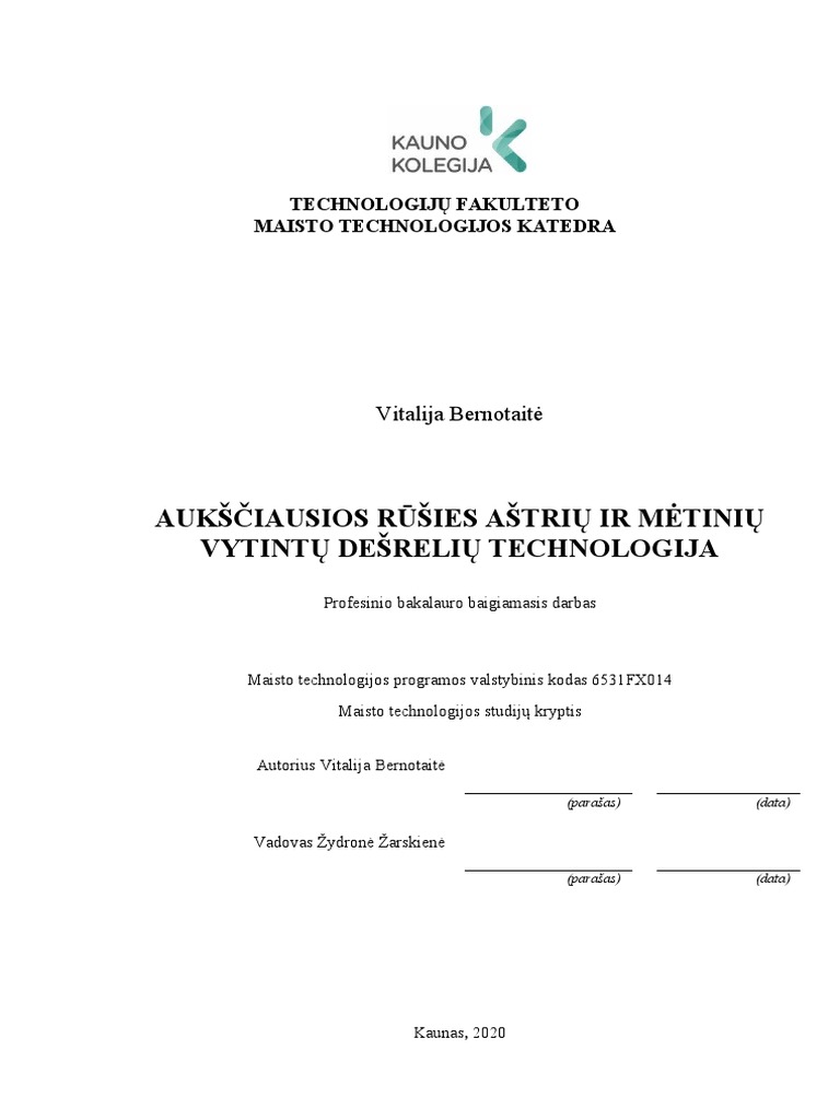 Bakalaurinis Darbas | PDF