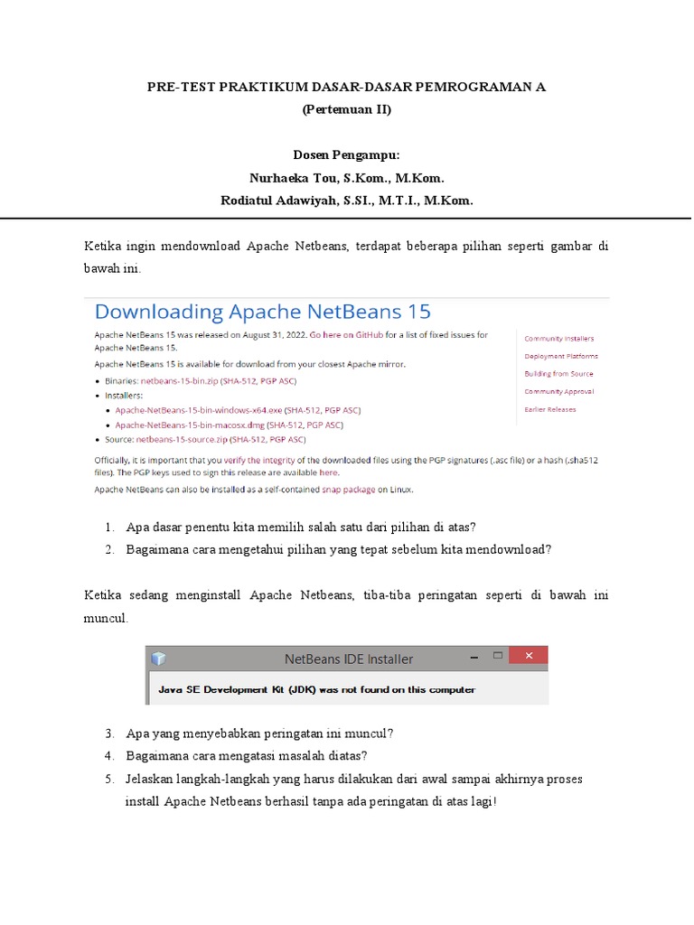 Pertemuan 2 - Pre Test Praktikum DDP | PDF